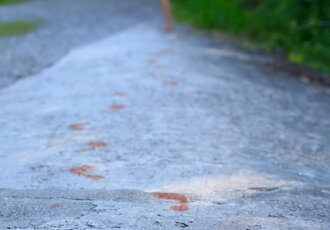 Eröffnung des Kunstweges am Alten Rhein am 16.07 in Diepoldsau